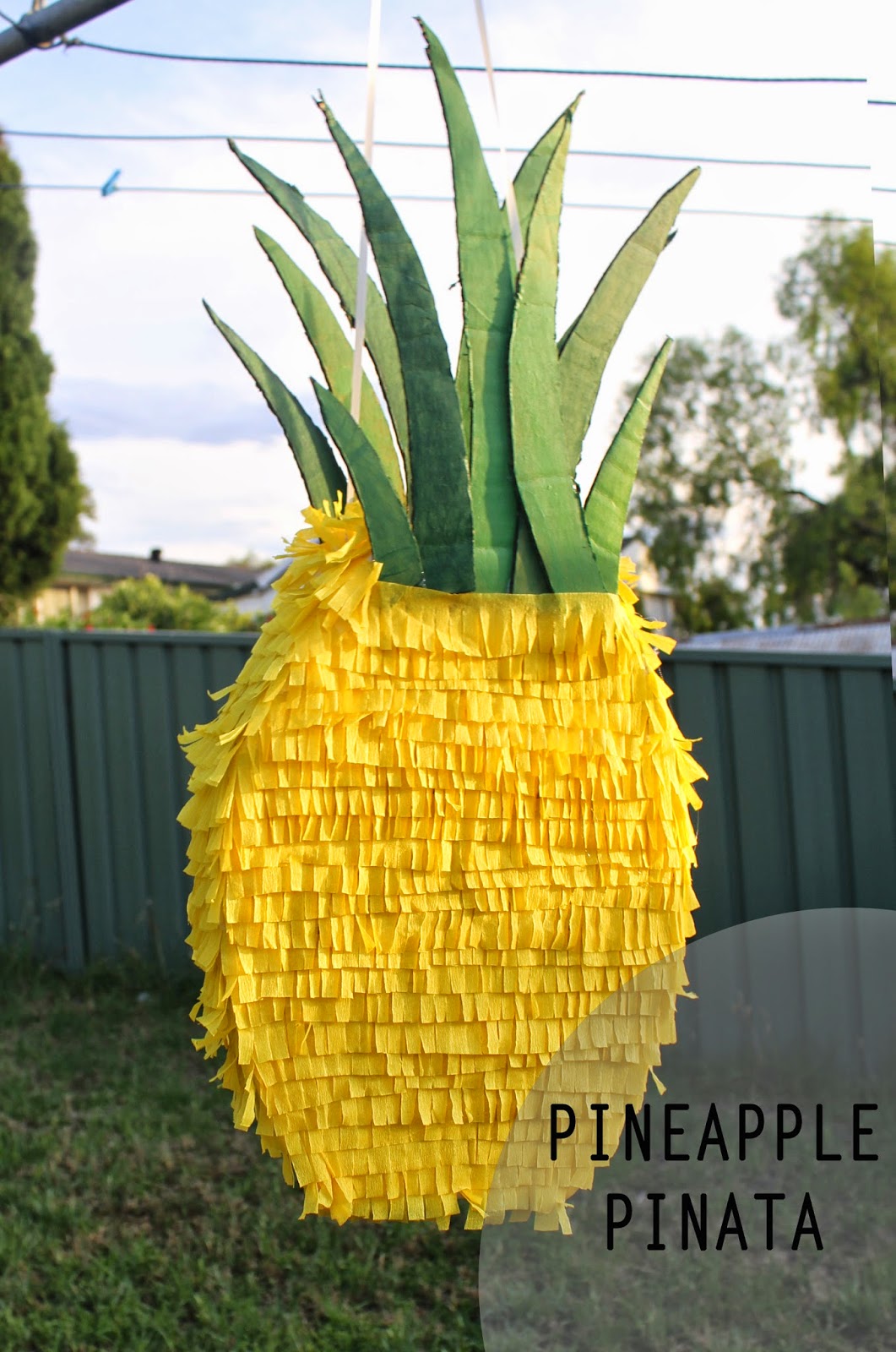 Caterpillar Cute: Pineapple Pinata