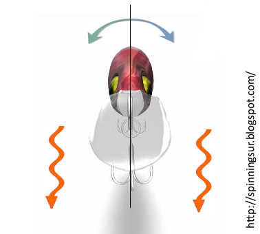 Spinning Sur: Movimientos / Acciones de Señuelos (III) : Rolling Fall