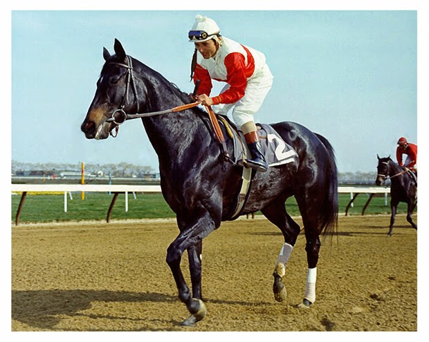 Los Pingos de Todos: Ruffian