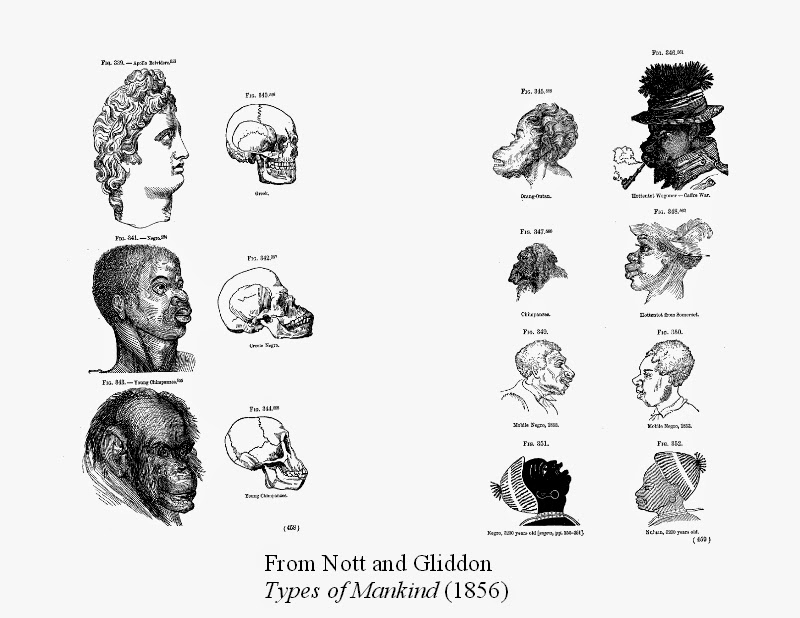 Until Darwin: Science and the Origins of Race: September 2014