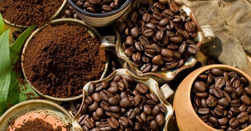 Jenis Kopi Apa Yang Paling Digemari? | Semarang Kota Kopi