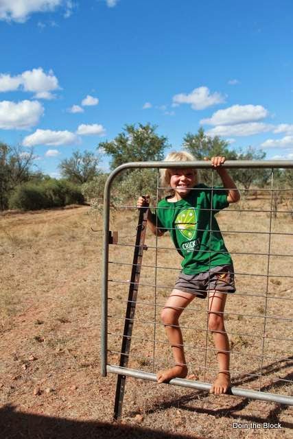 Doin' The Block: Day 189 – 13/6/14 - Calvert River Crossing ...