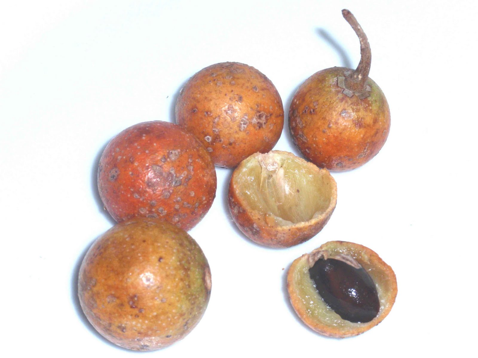 My Life in Gardens: May 2011