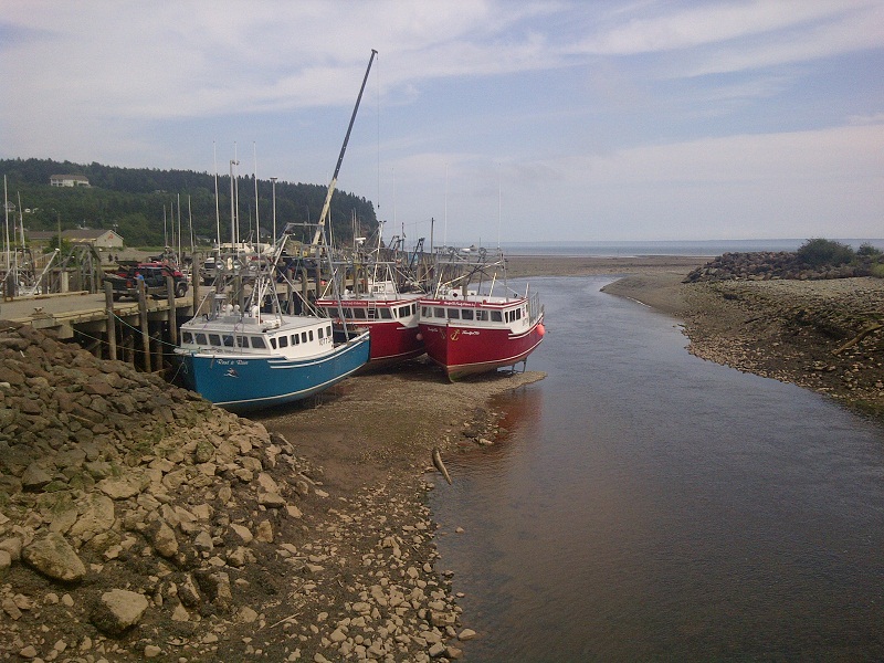 Martin Head (Southern New Brunswick)