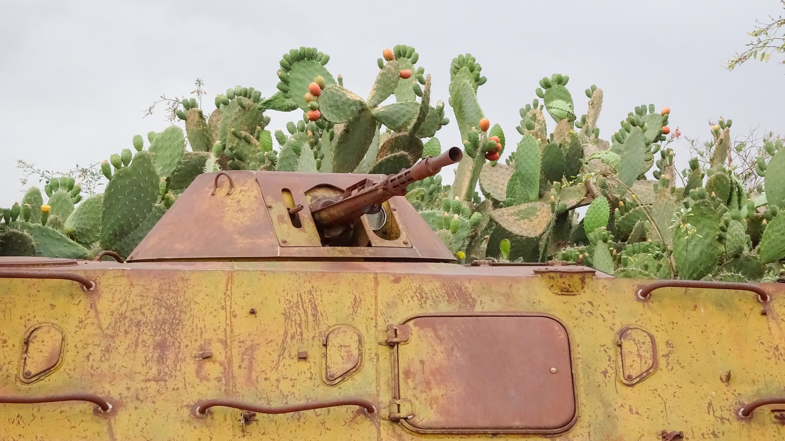 Eritrea - Too many old people - Sven's Travel Venues