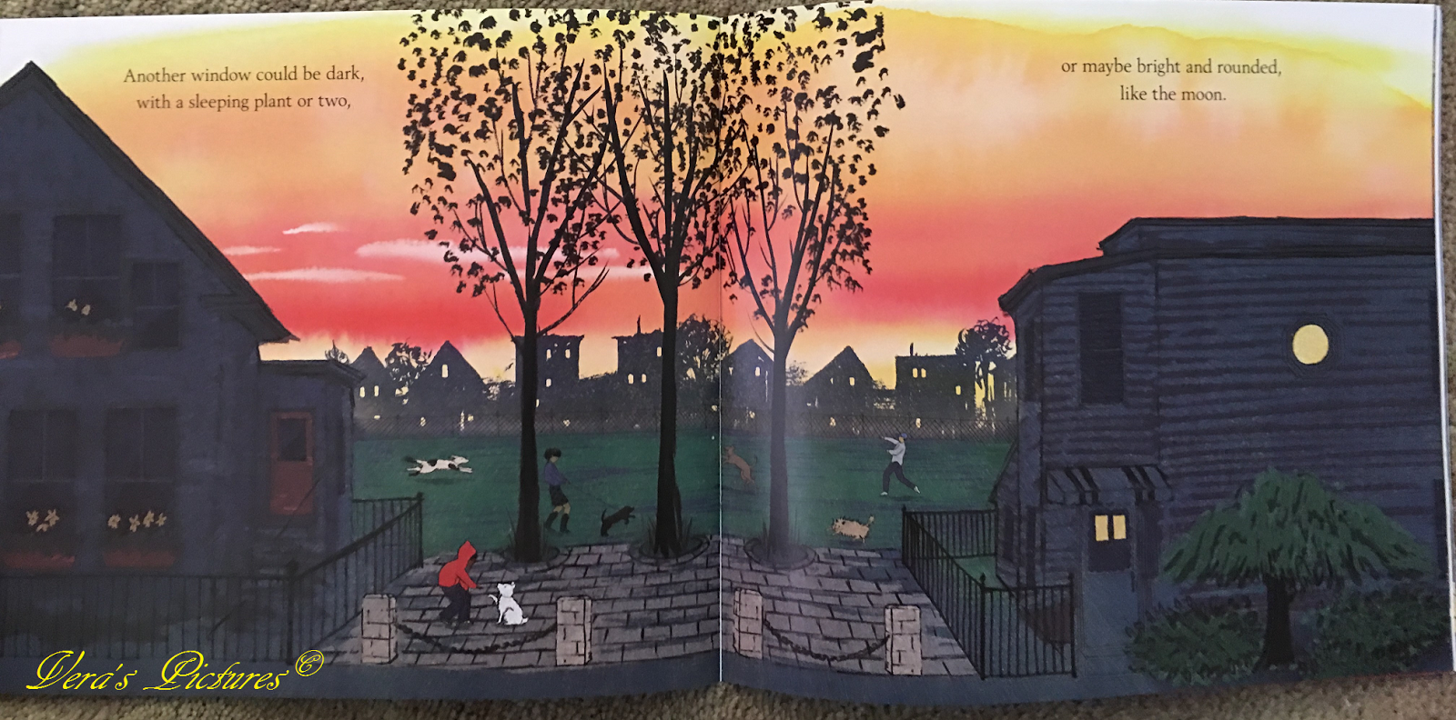 Chat with Vera: WINDOWS by Julia Denos & illustrated by E.B Goodale ...