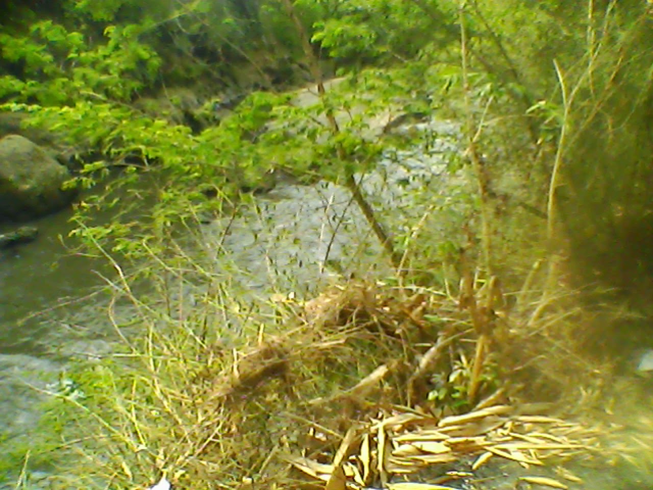 Padas Bajul Batu Jelmaan Siluman Buaya Penunggu Sungai | Artikel Unik ...