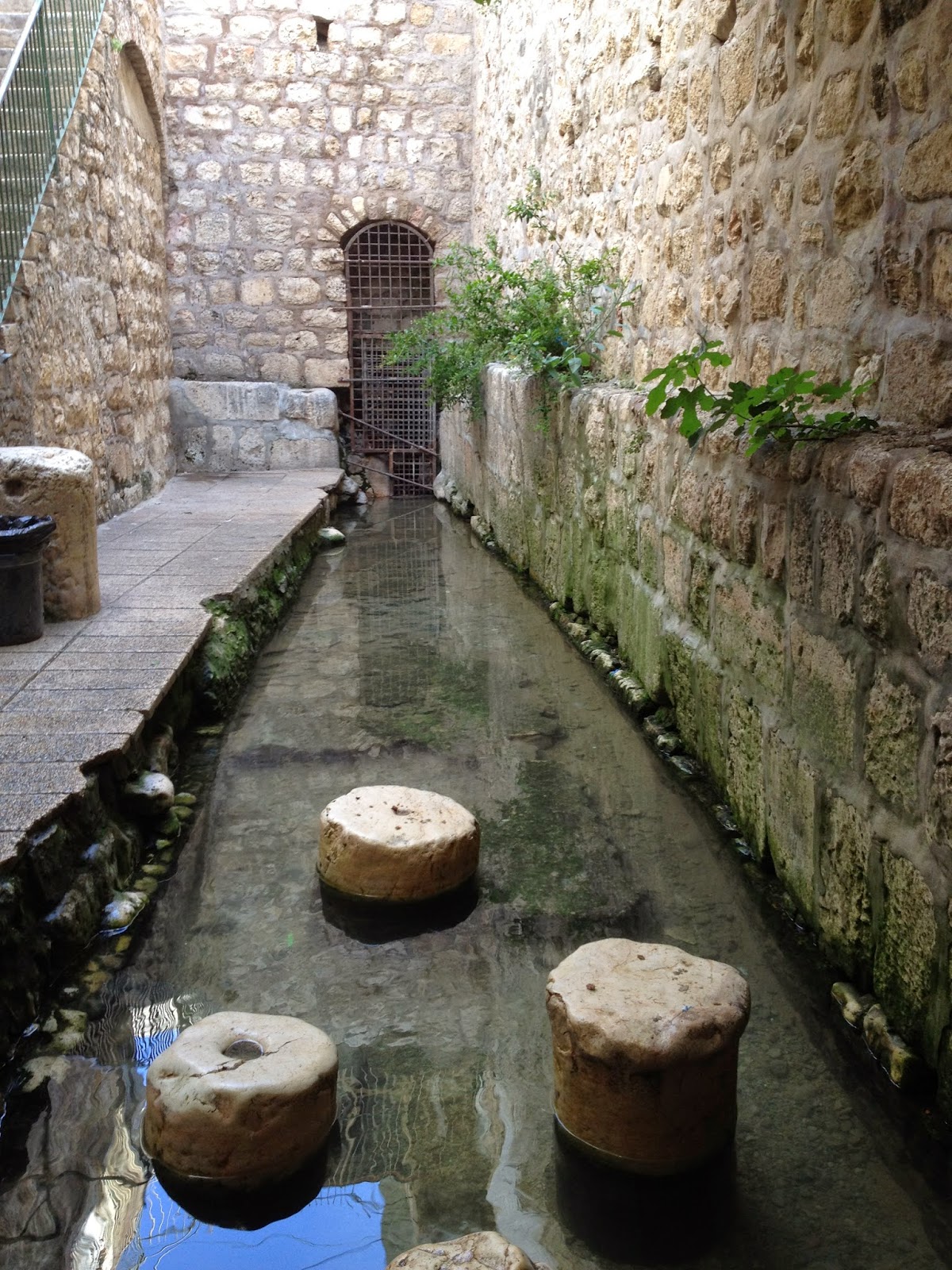 Gypsy Soul: Tales from Israel, Part 1.