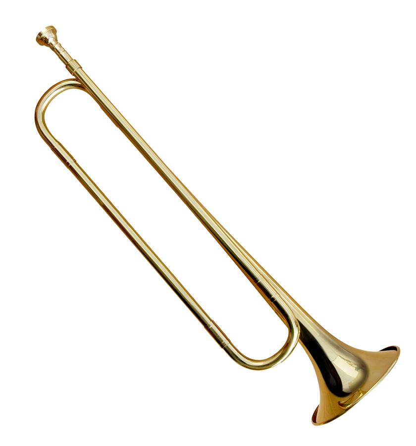 DL5 CLARIN DORADO BALDASSARE - SONIDO LATAM