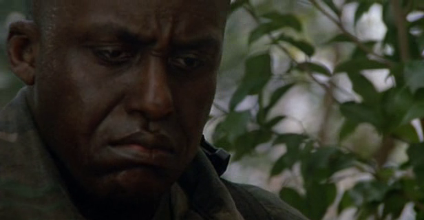 The Department of Afro American Research, Arts and Culture