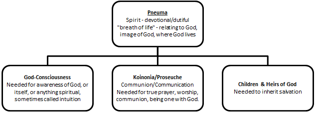 Homebrewed Theology: Anthropology 4 - The Human Spirit (Pneuma)
