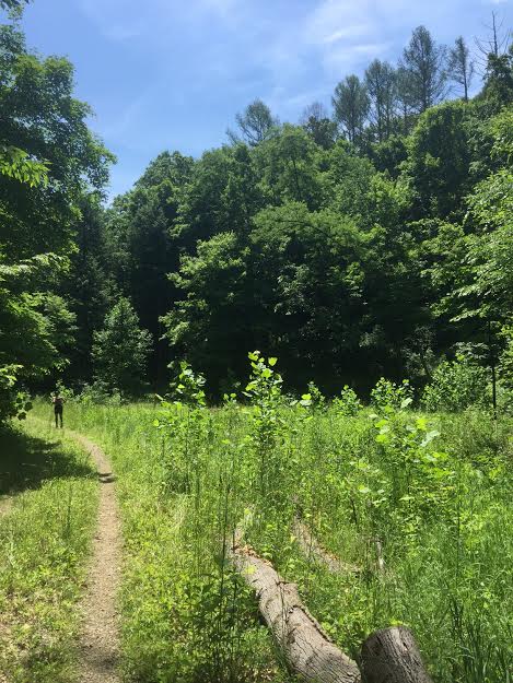 Thoughts From The Long Run: 2016 Mohican Trail 100 Race Report