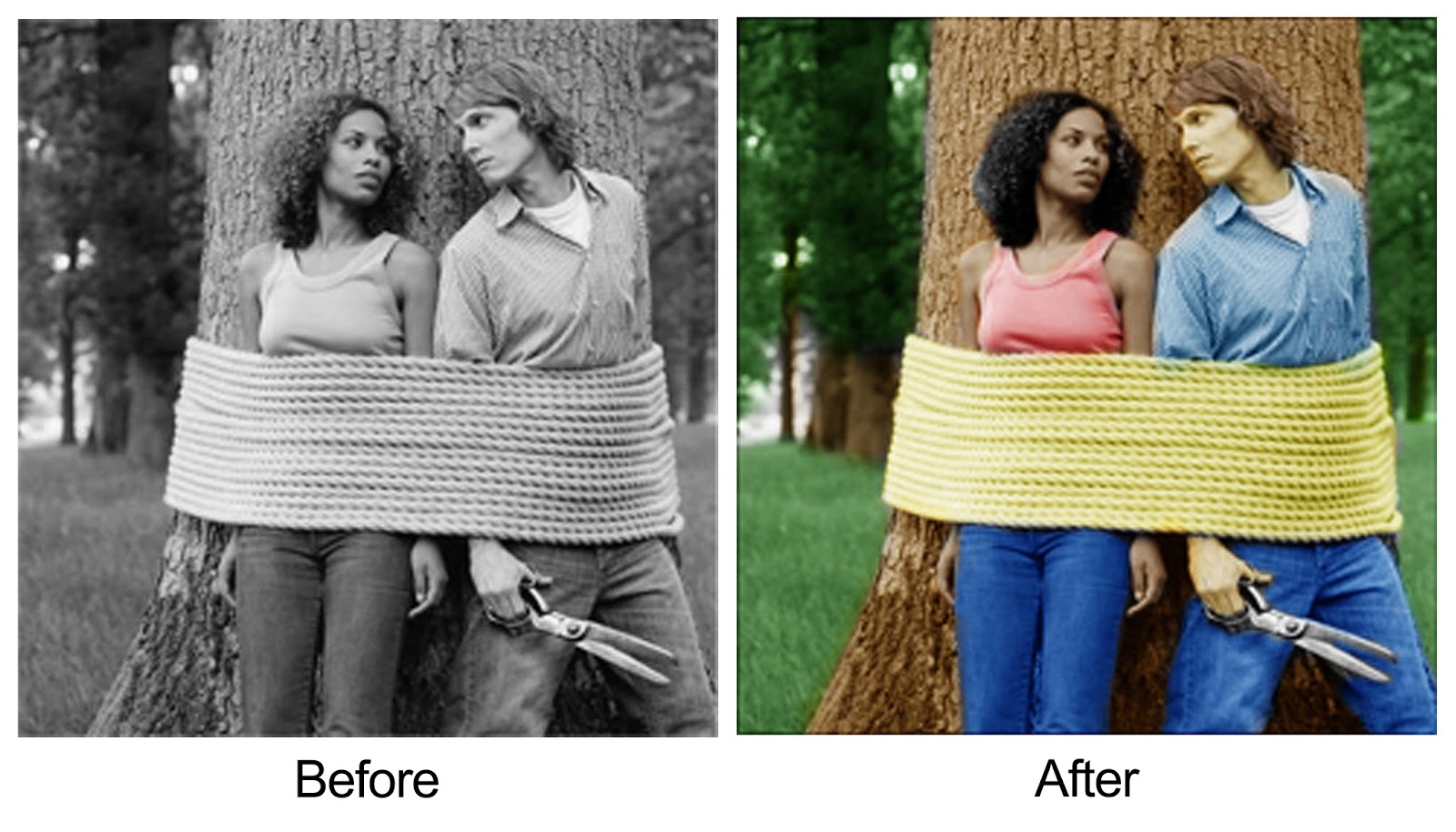 Creativity at it's Best: Colorization