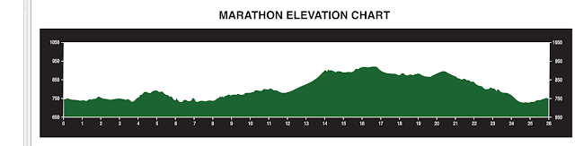Shoot for the foot: My First Marathon: Pittsburgh 2012