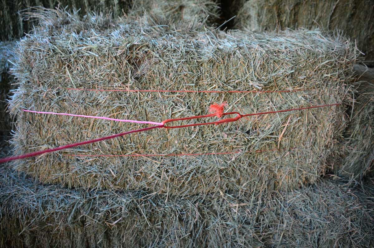 The 7MSN Ranch: Hay bale repair ~ a tutorial