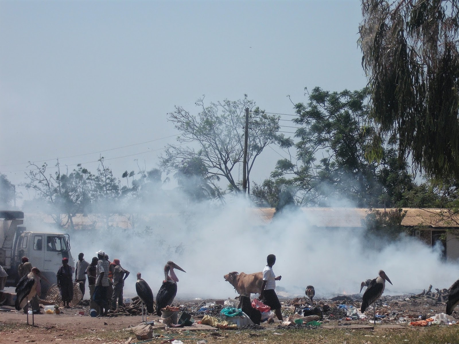 The One Person Project Blog: Kahama, Tanzania