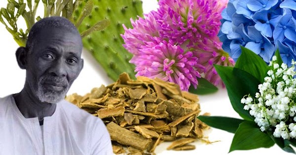 Dr. Sebi - The Man Who Cures ALL : Dr. Sebi Nutrition Guide 2016