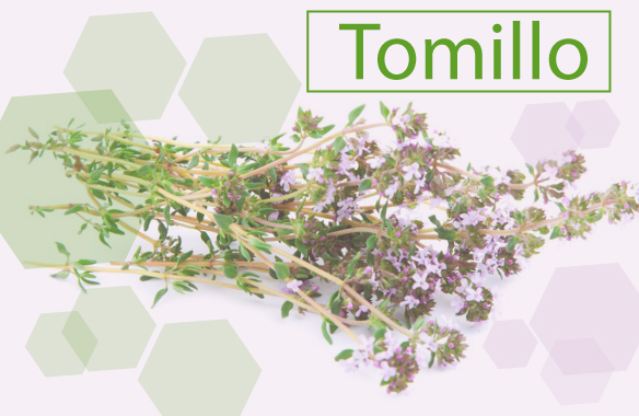 Conienatural: Tomillo