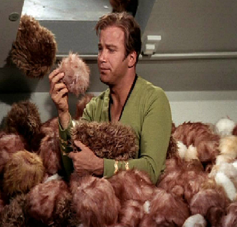 Cauvin: February 2013