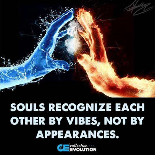 Souls Recognize each Other by vibes, not by appearances. - Quotes