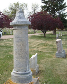 I Dig My Roots and Branches: Anna Marie Strate