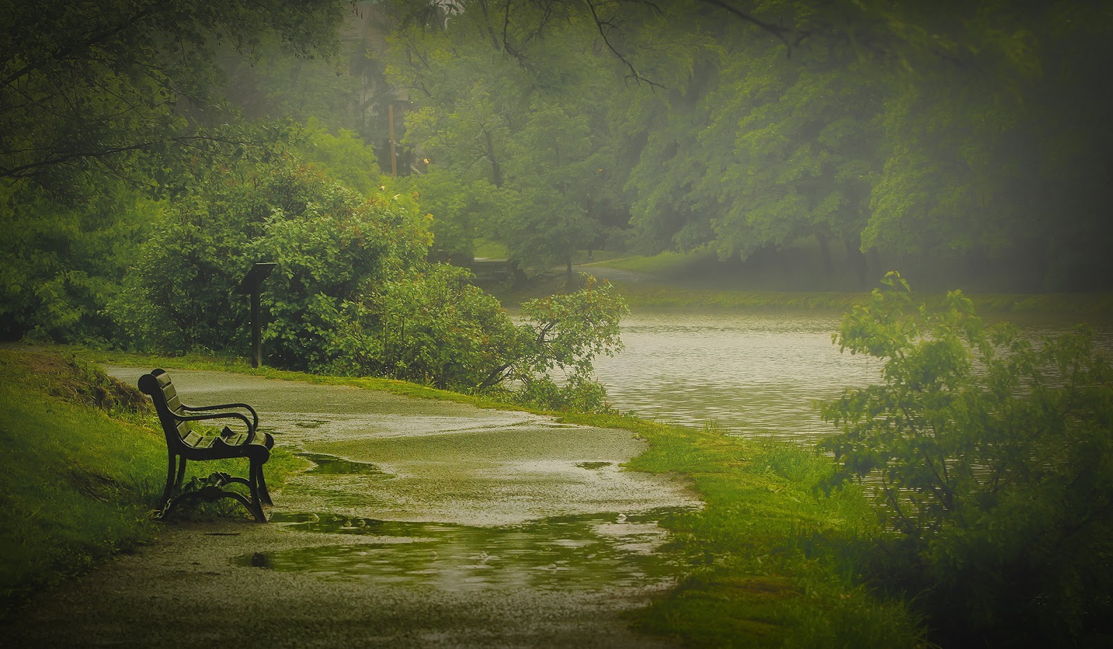 Scattered Seed Samplers: ~ Peaceful Rainy Day