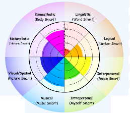 Kaiden: Multiple Intelligence Pie Chart