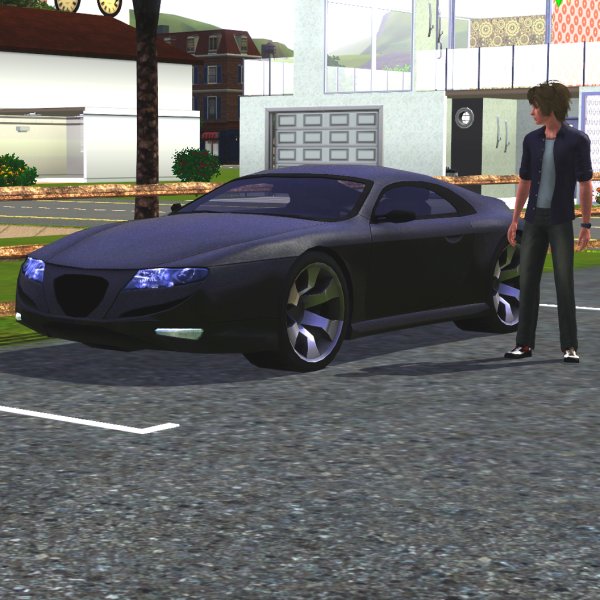 Simming in Magnificent Style: January 2013