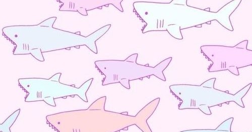 Top 4 cute shark iphone wallpaper - Sweety Wallpapers