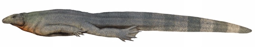 Blog de la Vida Prehistórica: mayo 2018