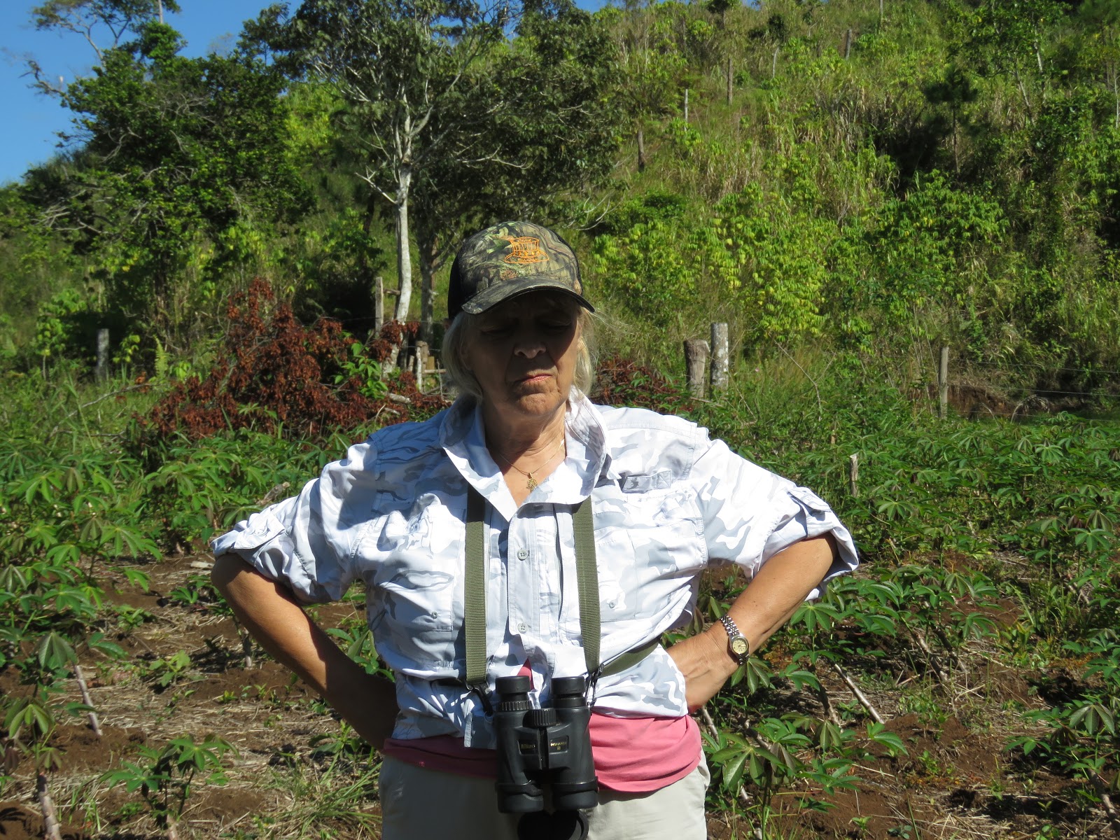 Bird & Travel Photos, Birding Sites, Bird Information: CASSAVA, VILLAGE ...