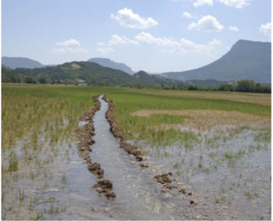 Agriculture moderne : les différentes techniques d’irrigation au Maroc