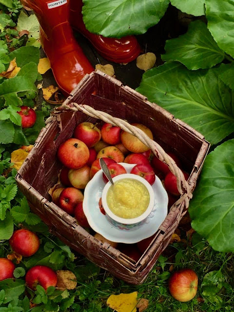 ISOÄIDIN RESEPTILLÄ: OMENASOSE