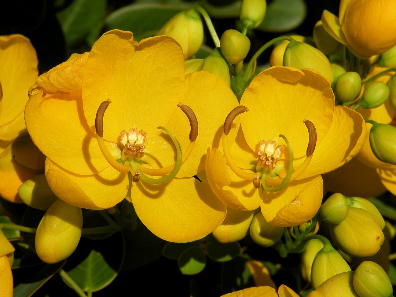 Uruguay's wildlife & Natural sanctuaries - Santuarios naturales & flora ...