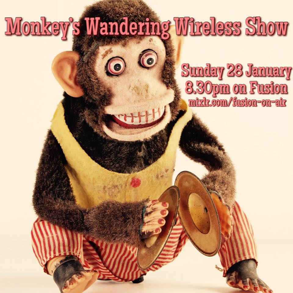 Monkey Picks: MONKEY'S WANDERING WIRELESS SHOW - SUNDAY 28 JANUARY