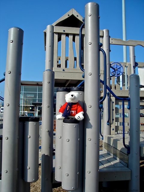 SATW Canada Travelling Teddy Bear Blog: Bella Bella rides the waves