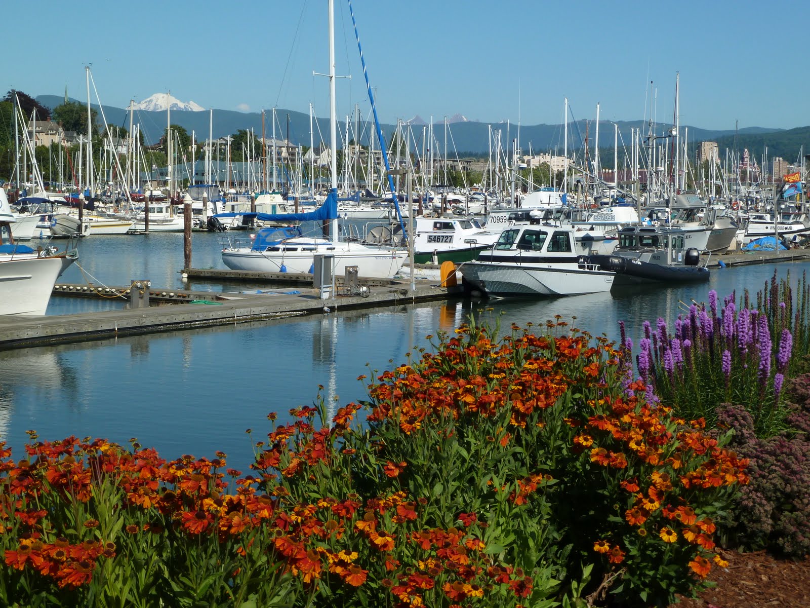 The Evans Family: Squalicum Harbor