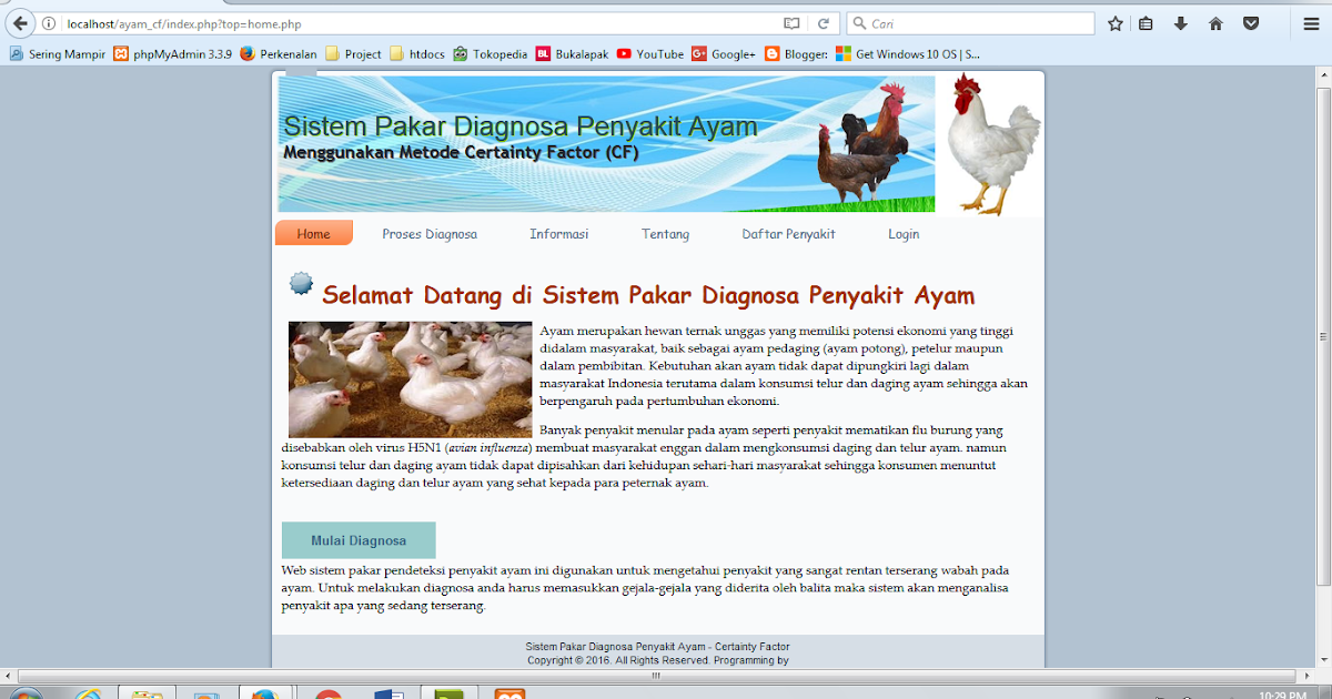Aplikasi peternakan ayam php berbasis web - radicallasopa