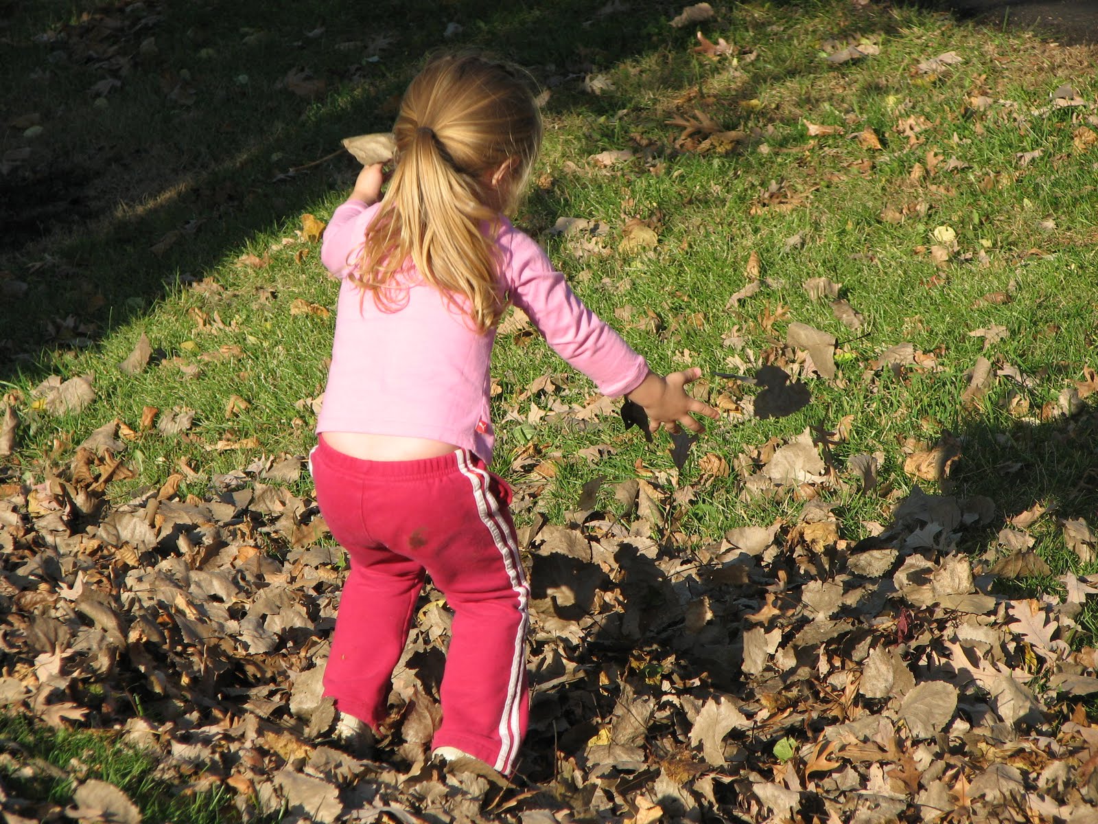 Cline Family: November 2009