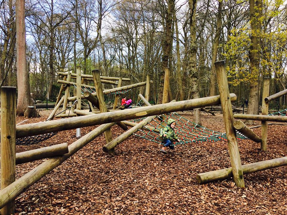 Tales of the March Hare: High Woods Country Park, Turner Road ...