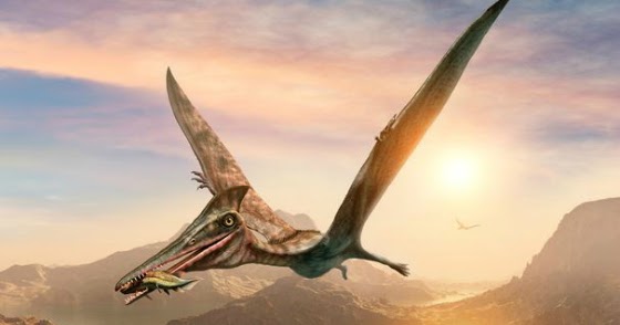 Terra Forming Terra: Pterosaur Sightings Over Texas & Pennsylvania