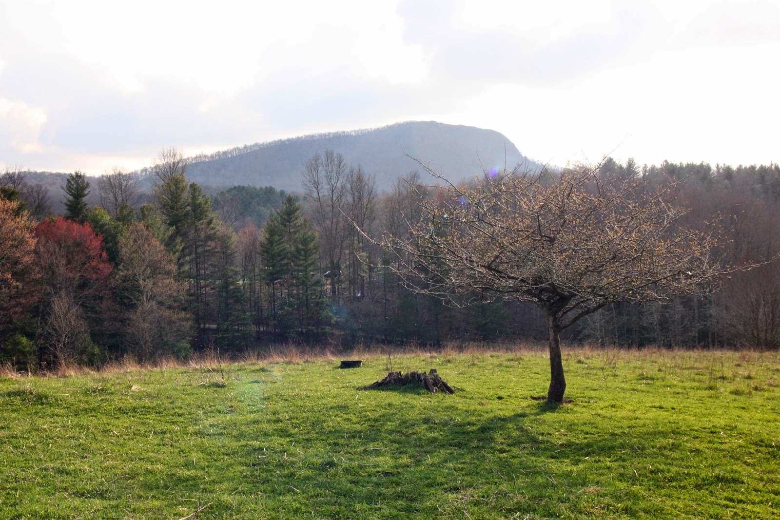 Boho Mountain Girl: 3 Great Links to Help you plan a getaway or wedding ...