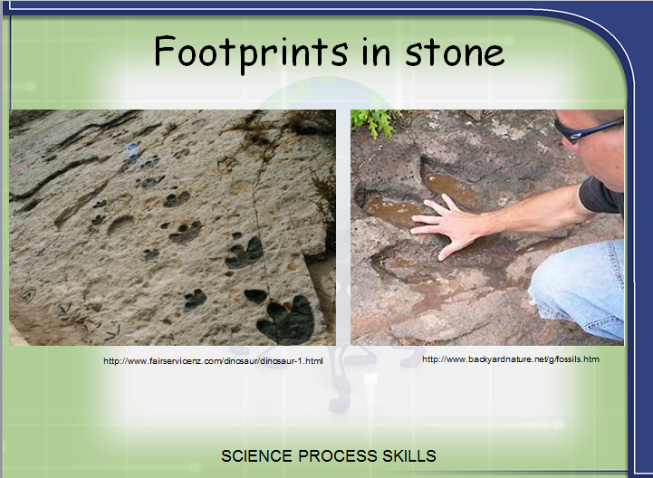 Inquiry and Constructivism: Footprints and science problem solving