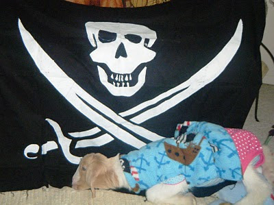 THE GOAT BORROWER: The Legend of Sadie the Goat – Hudson River Pirate