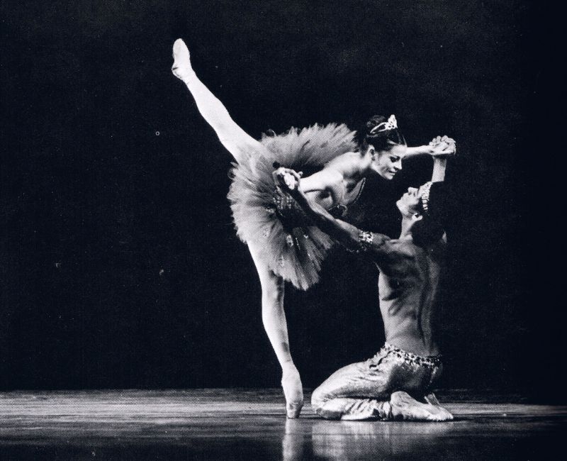 Dutch National Ballet: 47 Pictures That Capture Performing Dancers in ...