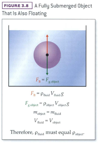 Philosophical Explorations: Physics: Fluids