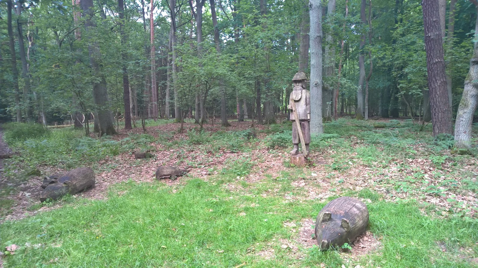 IU in Berlin, Summer '15: Forst Spandau (Spandau Forest)