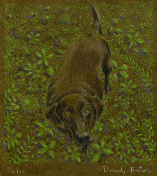 Daniel Baxter Art: Pet Portraits