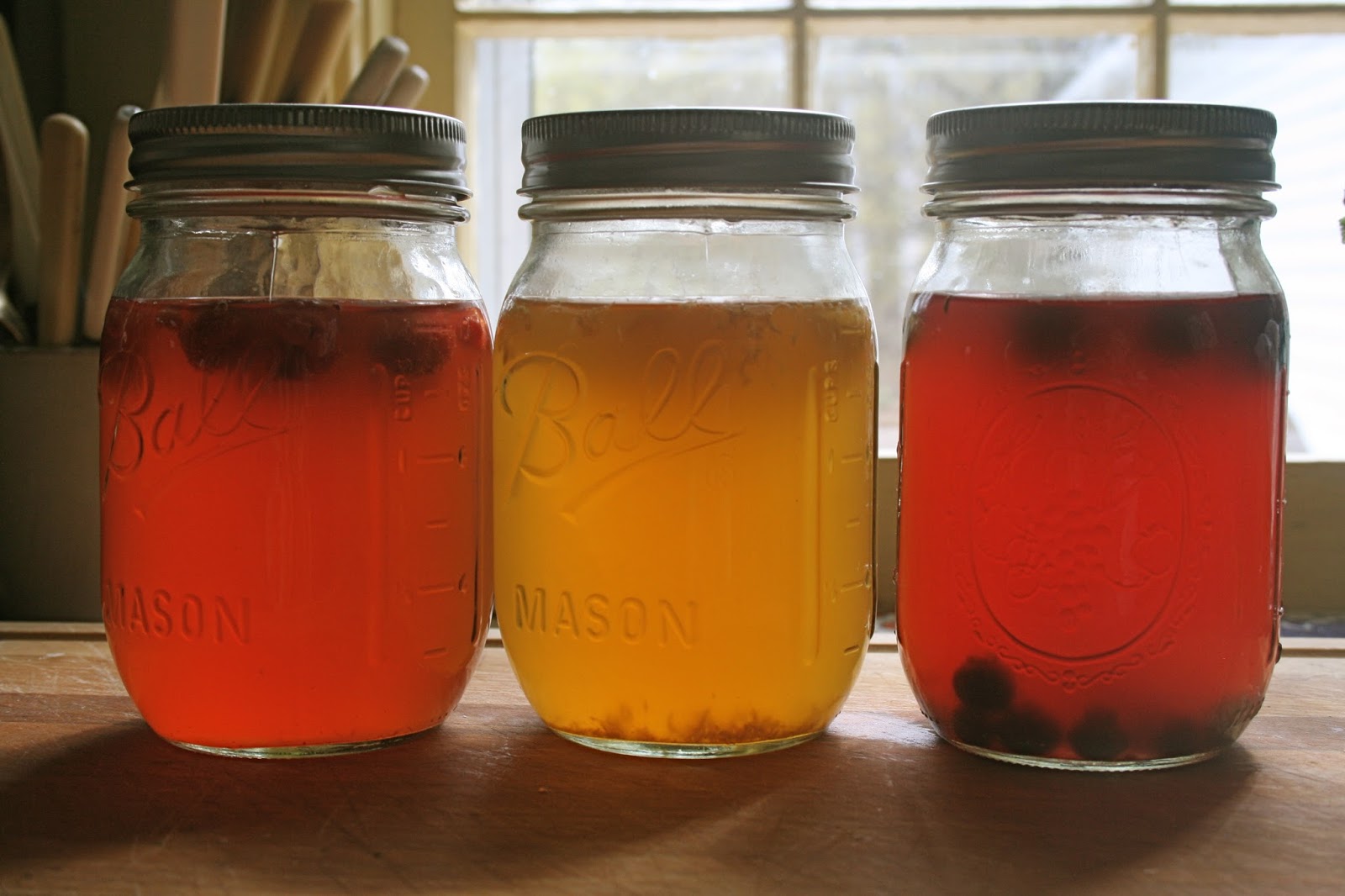 Love Yourself Fearlessly!: 10 Reasons To Drink Kombucha Daily