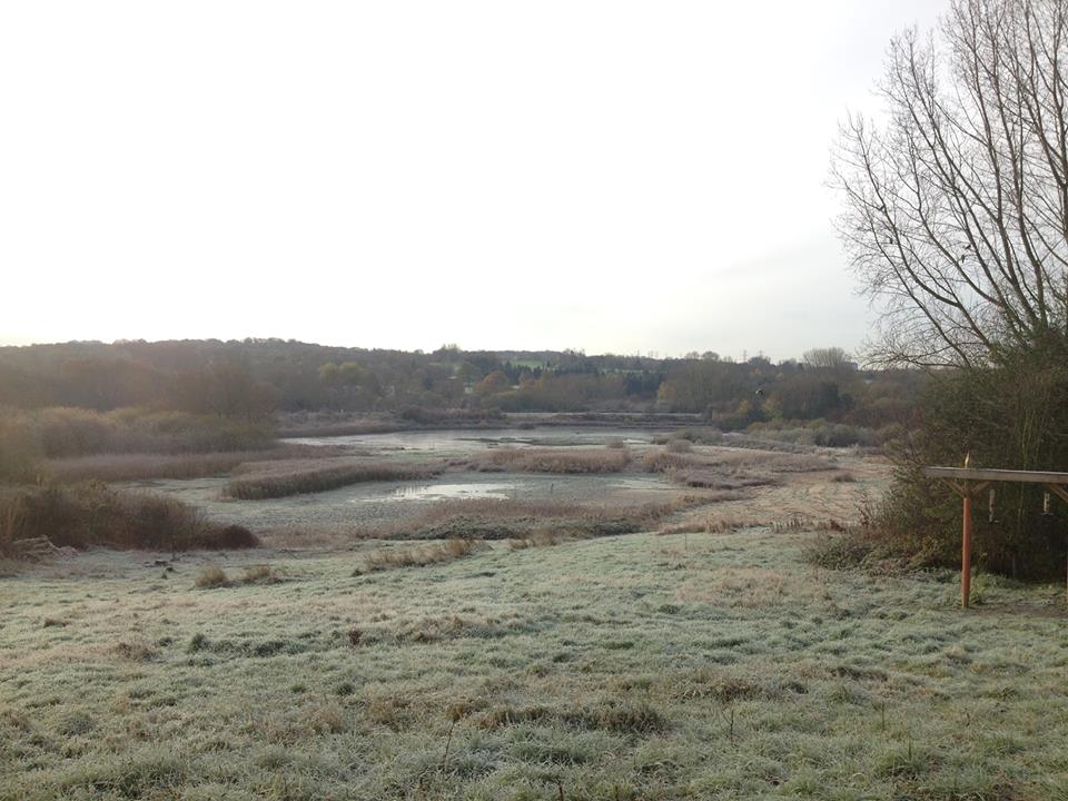 RSPB Sandwell Valley: December 2015